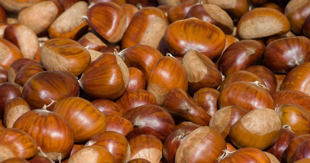 Gastronomía: Castañas: un fruto seco de bajo contenido calórico