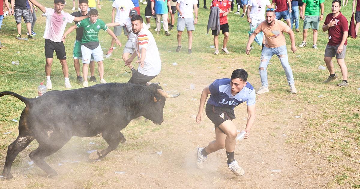 Las fotos de La Compra de San Juan 2024. Valonsadero vibra entre toros y chiringuitos