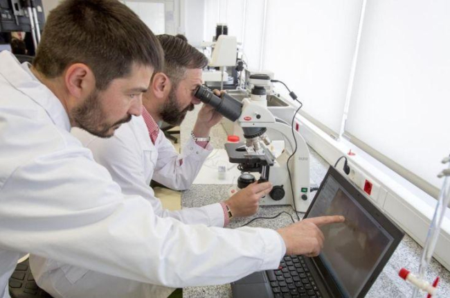 TENSIÓN SOBERANISTA: Indukern se suma a la fuga de empresas y traslada ...