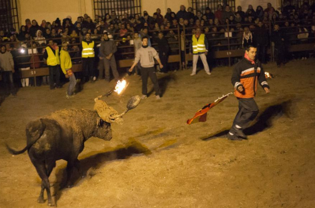 TORO JUBILO: Medinaceli indulta a 'Mancheguito' que hace «vida normal ...