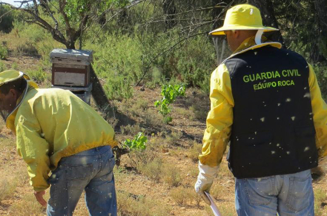 Guardia Civil: El equipo Roca investiga en Soria 28 delitos, sobre todo ...