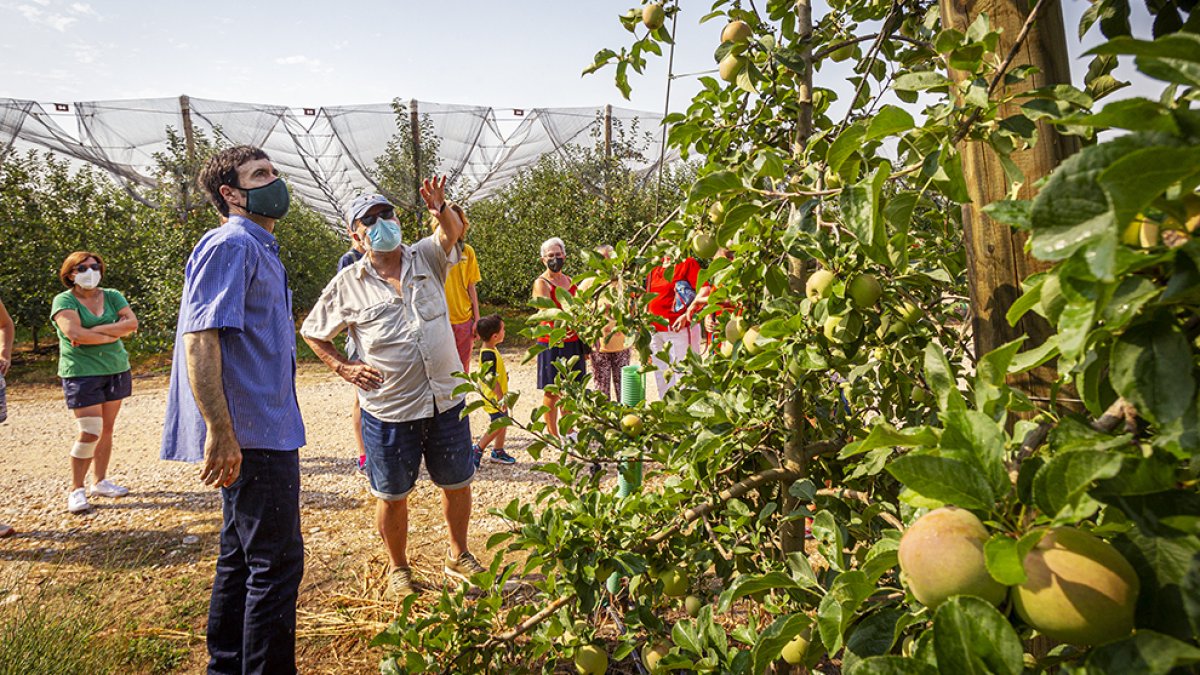 Nufri lanza la Ruta de la Manzana y abre la plantación al visitante