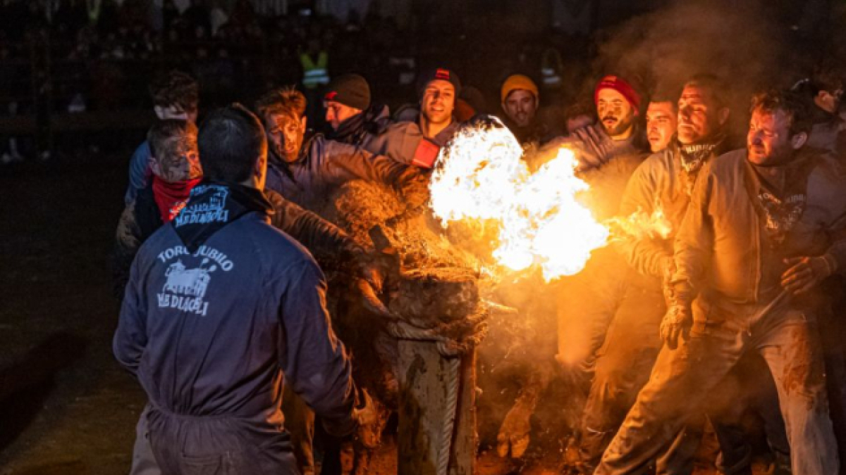 El Toro Jubilo se reencuentra con Medinaceli. Las fotos