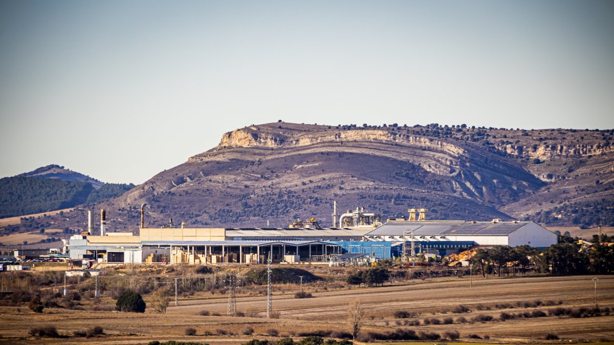 Losán logra un «apoyo suficiente» para su reestructuración y paga una ...