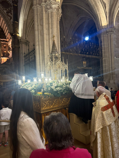 Las alfombras del Corpus Christi llenan El Burgo de Osma de color y ...