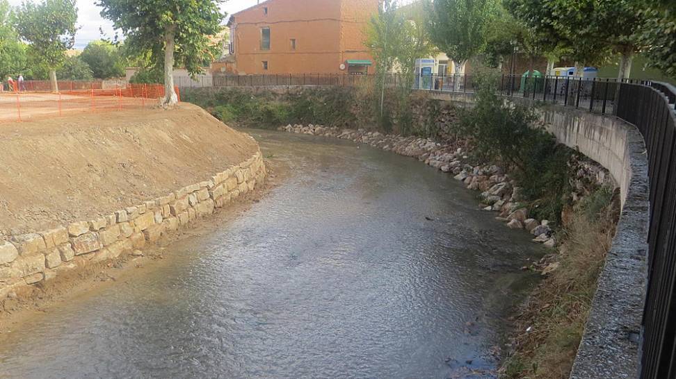 La CHE alerta del «deficiente» estado ecológico del río Jalón