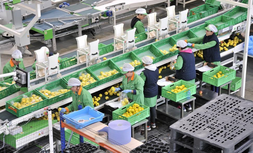 Nufri invertirá casi tres millones de euros en ampliar sus naves ...