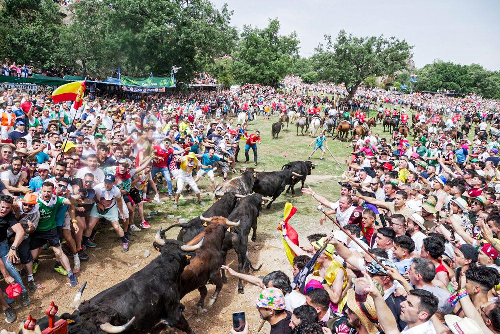 La Saca en fotos (I). Salida de los toros y más